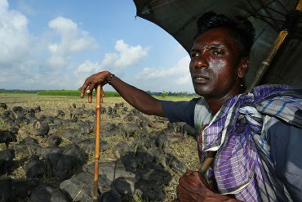 brattyajan | ব্রাত্যজন | Dedicated to the Marginalized and Excluded ...